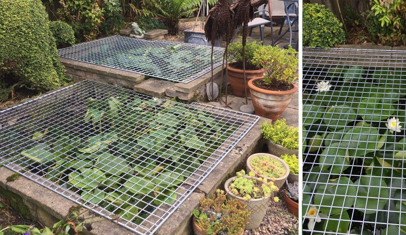 Pond & Well Covers - Wire Mesh Fabrications Ltd