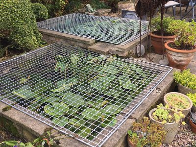 Galvanised Wire Mesh Pond Covers - Wire Mesh Fabrications Ltd